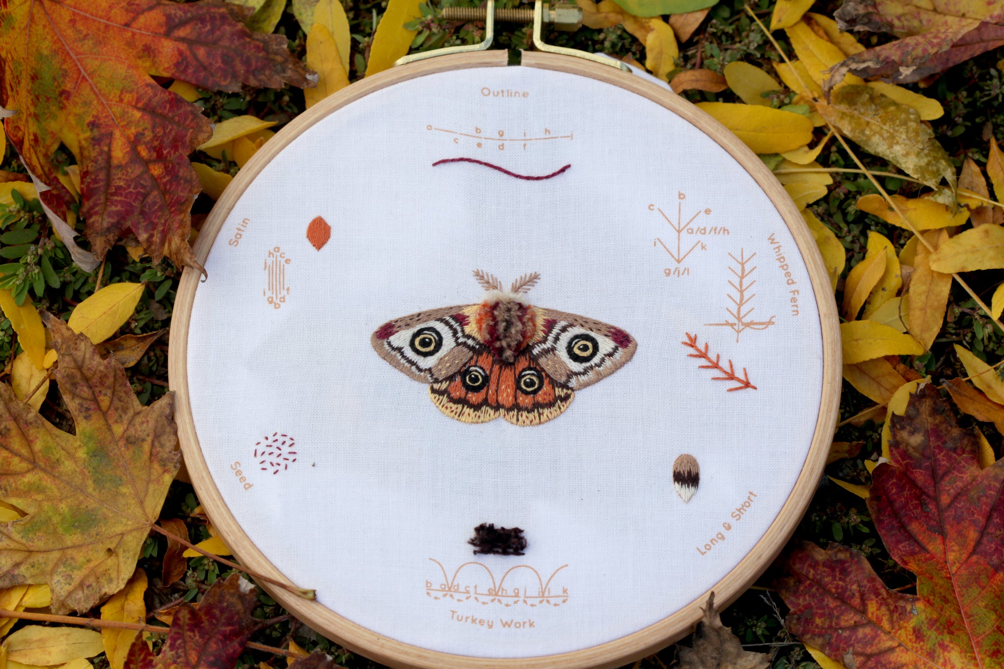 Moth - Embroidery Stitch Sampler – Kiriki Press